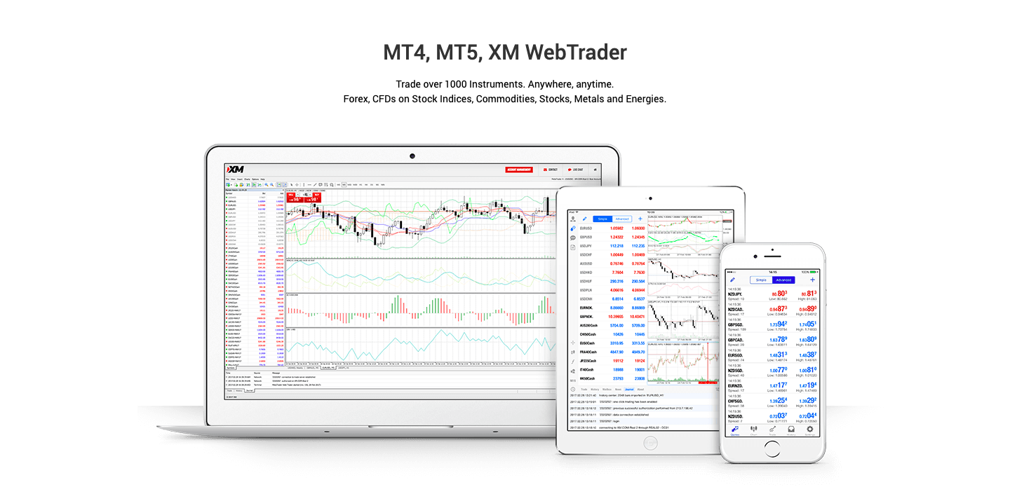 List of XM Forex Account Types - Which One is Best For You?